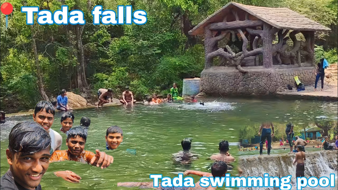 Tada fall tamil || Part -01 Swimming pool || Full trecking vlogs ...