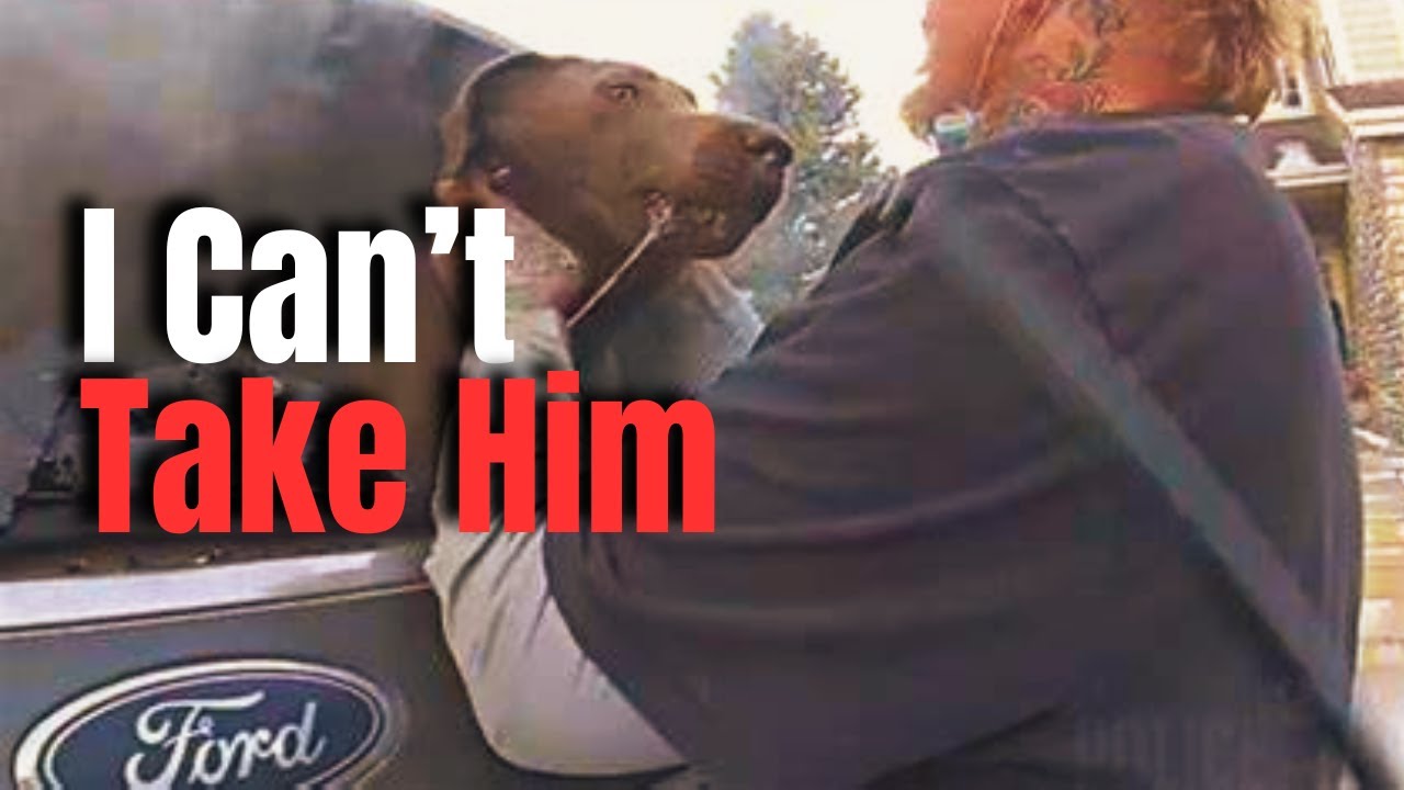Top Moments When Police and Firefighters Saved Animal's Lives # ...