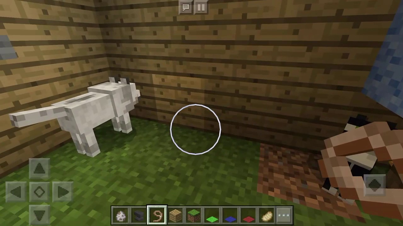Added on | Minecraft cats and dogs #2 - YouTube