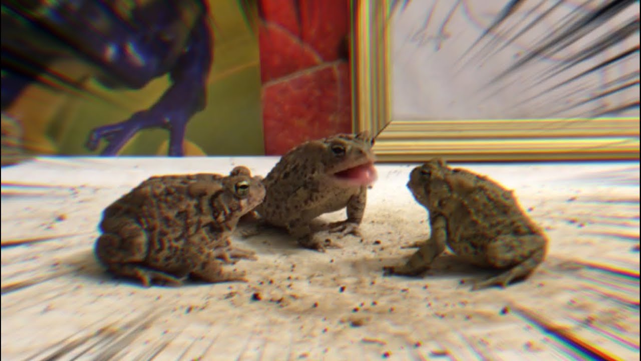 Toad feeding! (Episode 5) - YouTube