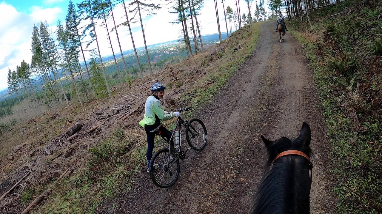 Pack Forest 02-02-2020 - YouTube