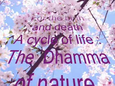 Tsunami Poems 2- My Way - YouTube