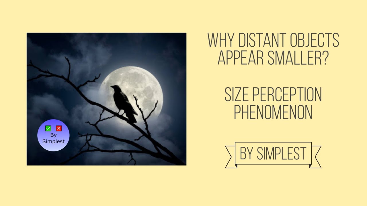 Size Perception Phenomenon - YouTube