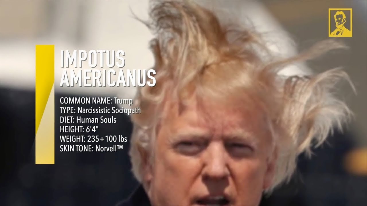 Lincoln Project turns humour against Trump - YouTube