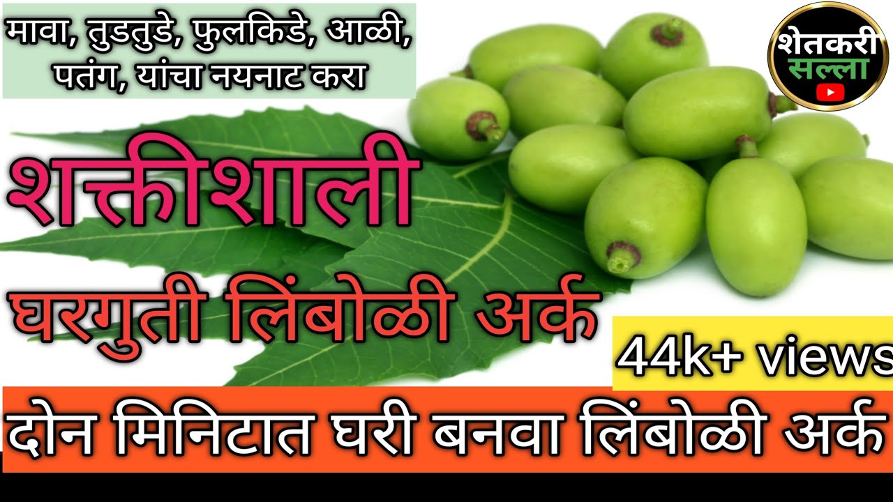 घरगुती शक्तीशाली लिंबोळी आर्क कसा तयार करावा २०२३ !! How to Make A ...