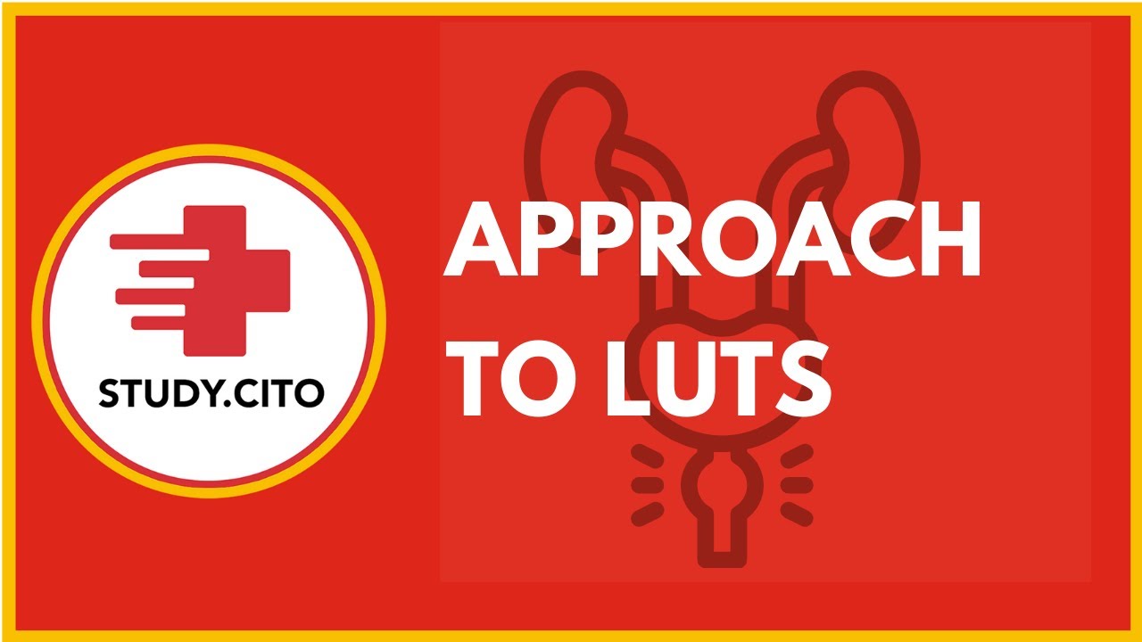 Approach to LUTS - Introduction - 5 Agustus 2021 (Part 1) - YouTube