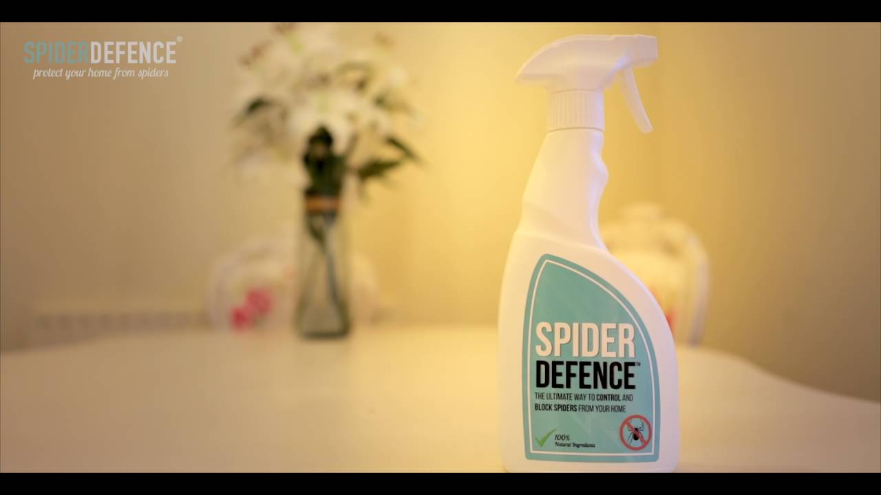 Spider Spray - Stop Spiders Coming into your home with Spider Defence ...