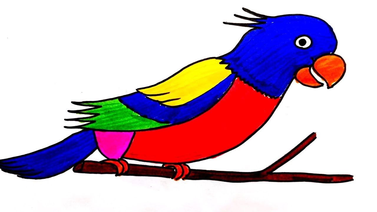 How to draw parrot easy step by step for kids - YouTube