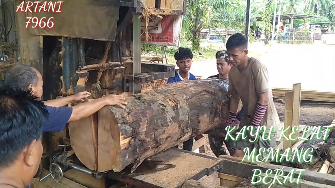 KAYU KELAT EMANG BERAT. BUAT SIZI 2X2 UNTUK BUAT PAGAR KEBUN SULTAN ...