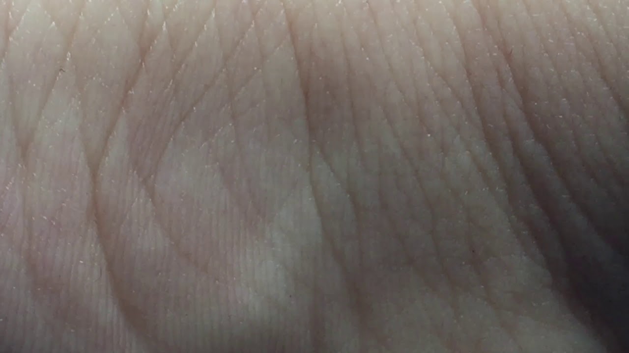 What a pulse looks like on your wrist... - YouTube