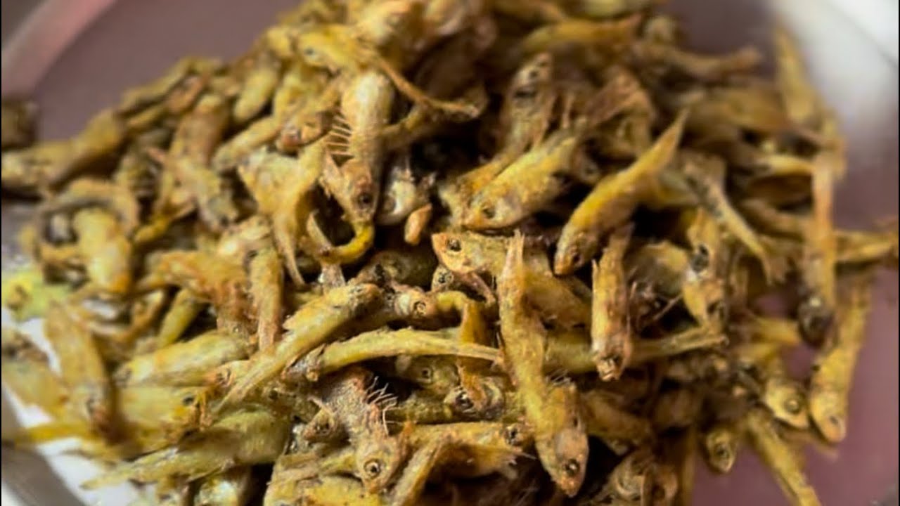 Desi ମାଛ preparation# desi small fish cooking - YouTube