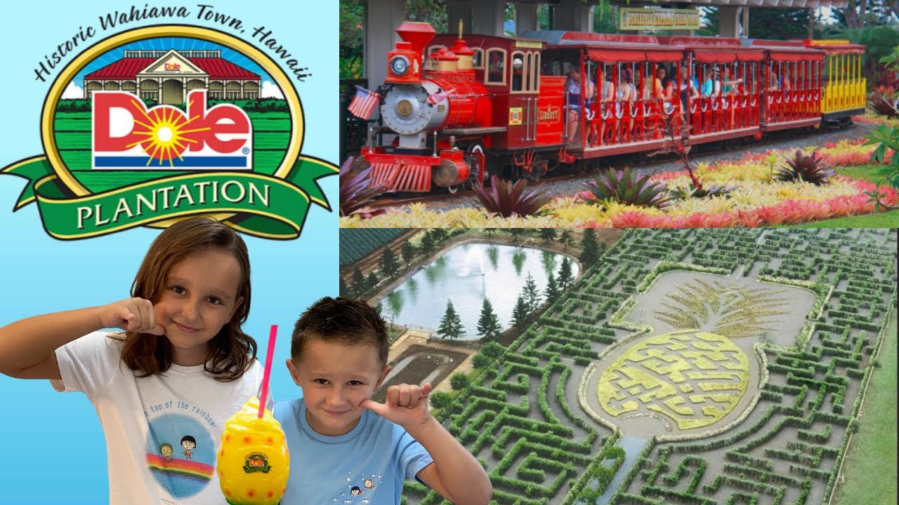 Hawaii Dole Plantation: Pineapple Express Train & World's Largest Maze ...
