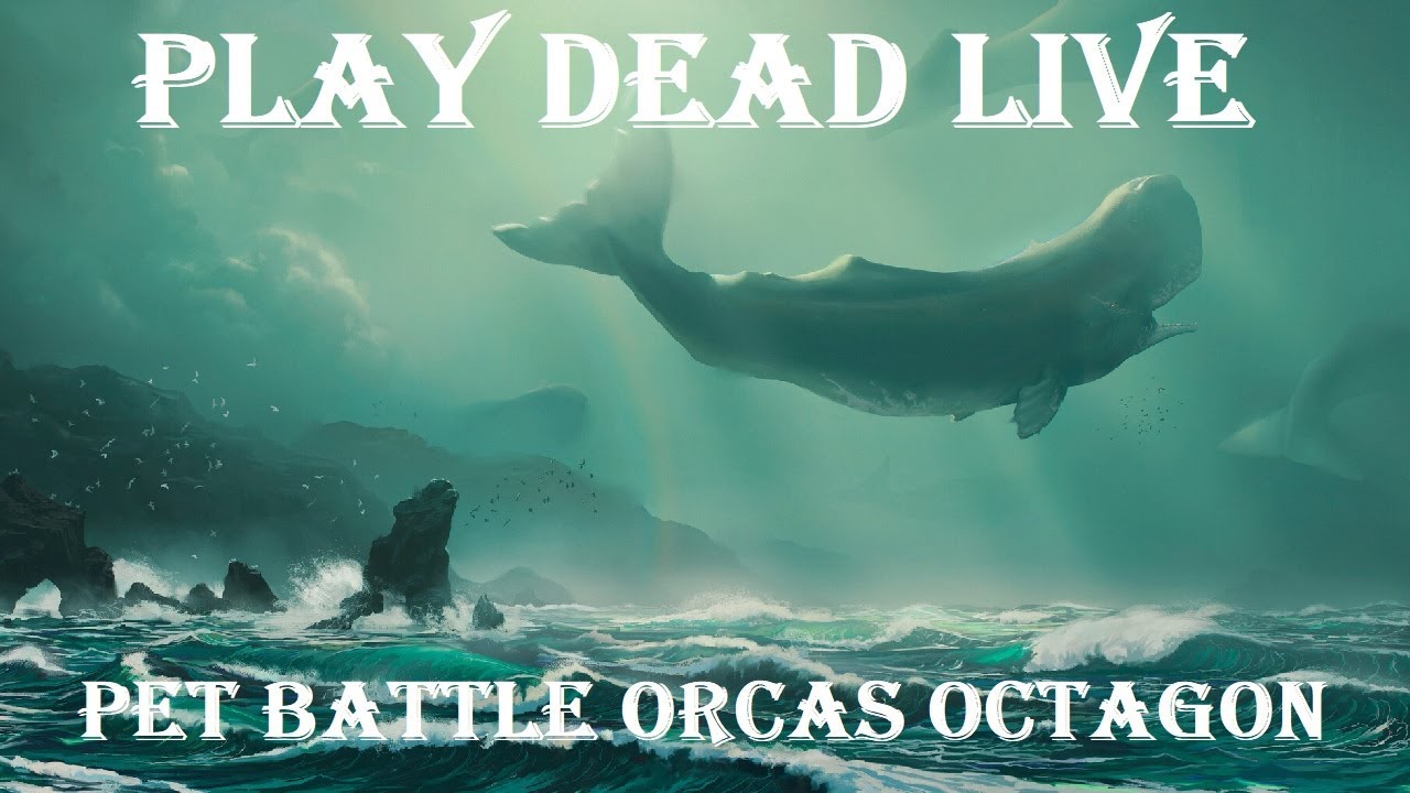 Play Dead Live - Battle Pets of Orcas Octagon 2024 - YouTube