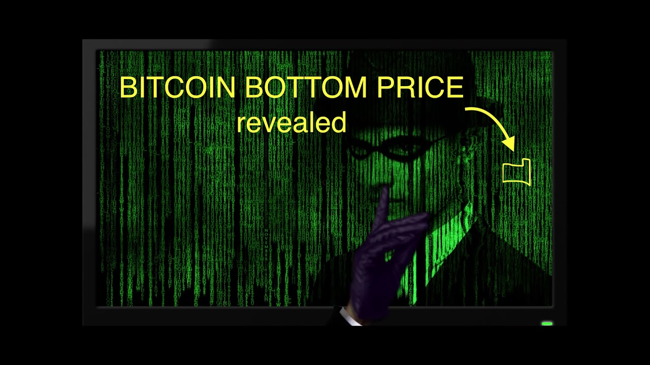 Ripple Riddler Bitcoin bottom price revealed. Bull-run starting soon ...