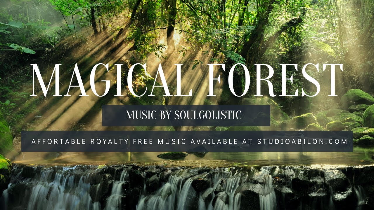Magical Forest ( Royalty-Free-Music) Relaxing, Calming, Meditation ...
