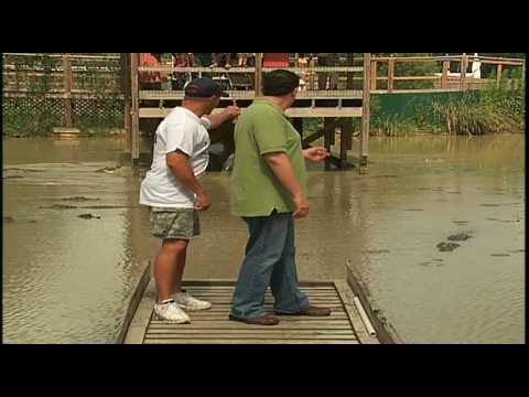 GATOR 911--Gator Country by Erik Hastings - YouTube