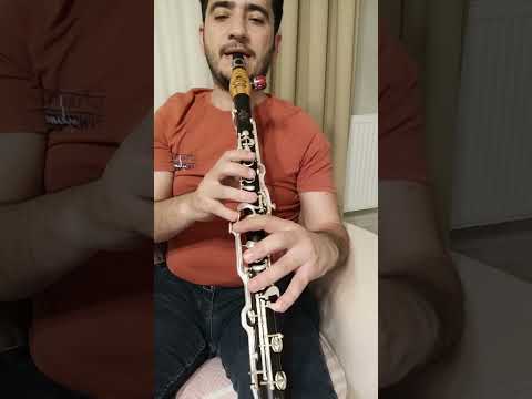Klarnet ile akşam güneşi yakın çekim