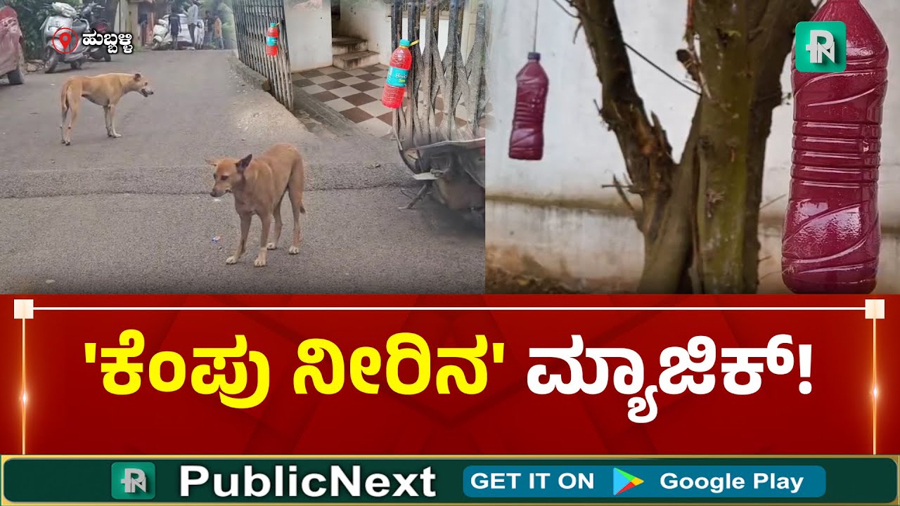 Hubli Street Dog| ಹುಬ್ಬಳ್ಳಿ: ಕುಂಕುಮ ನೀರಿನ ಬಾಟಲಿ: ಬೀದಿ ನಾಯಿಗಳಿಗೆ ಇದು ...