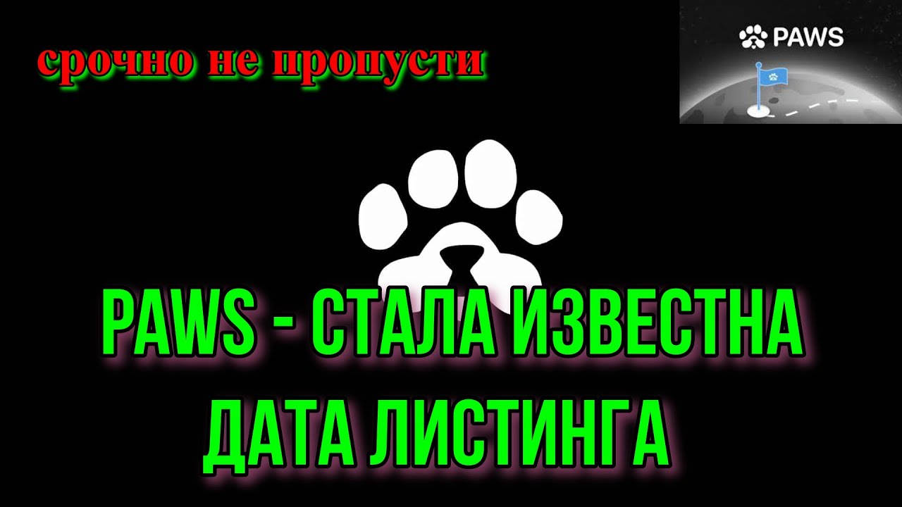 ПРОЕКТ PAWS СТАЛА ИЗВЕСТНА ДАТА ЛИСТИНГА📢🟢 - YouTube
