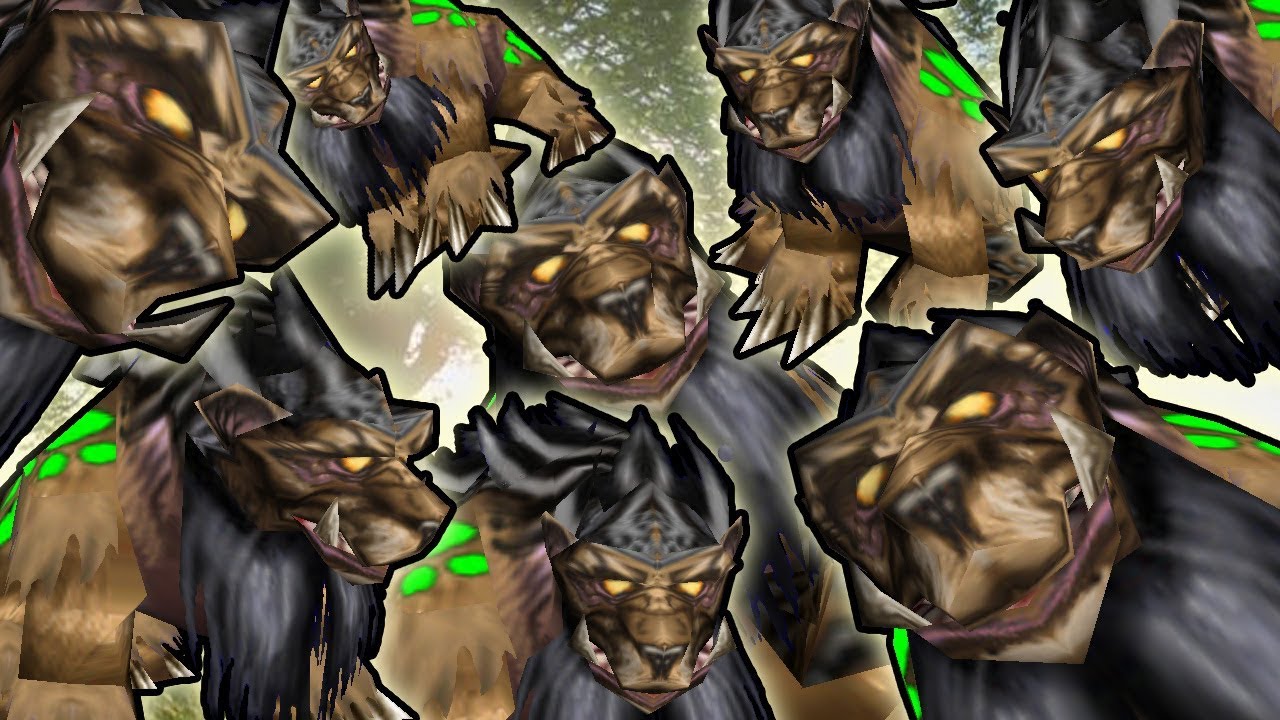 MORE BEARS!!! - YouTube