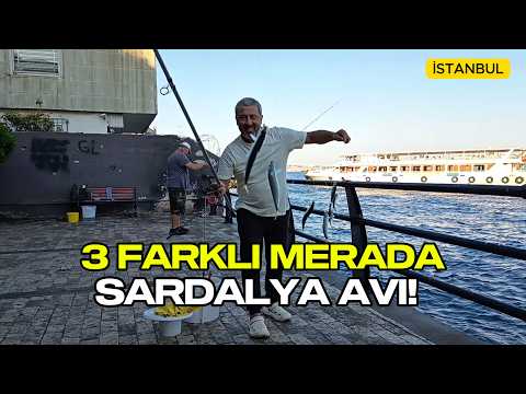 İstanbul Boğazı'nda 3 Farklı Merada Sardalya Avı Vlog! Balık Çobanı
