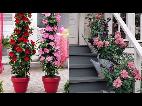 Creative ways to transform unusual Junk into stunning garden feature ...