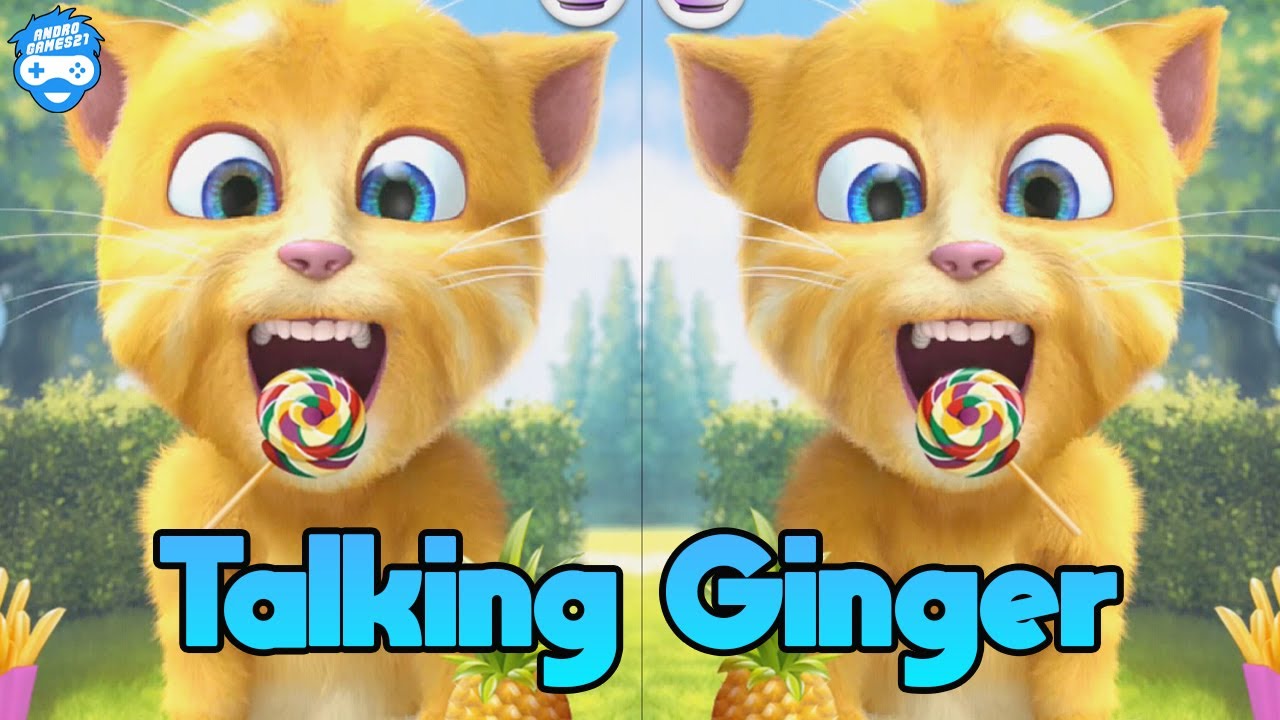 Talking Ginger - Talking Ginger Gameplay - YouTube
