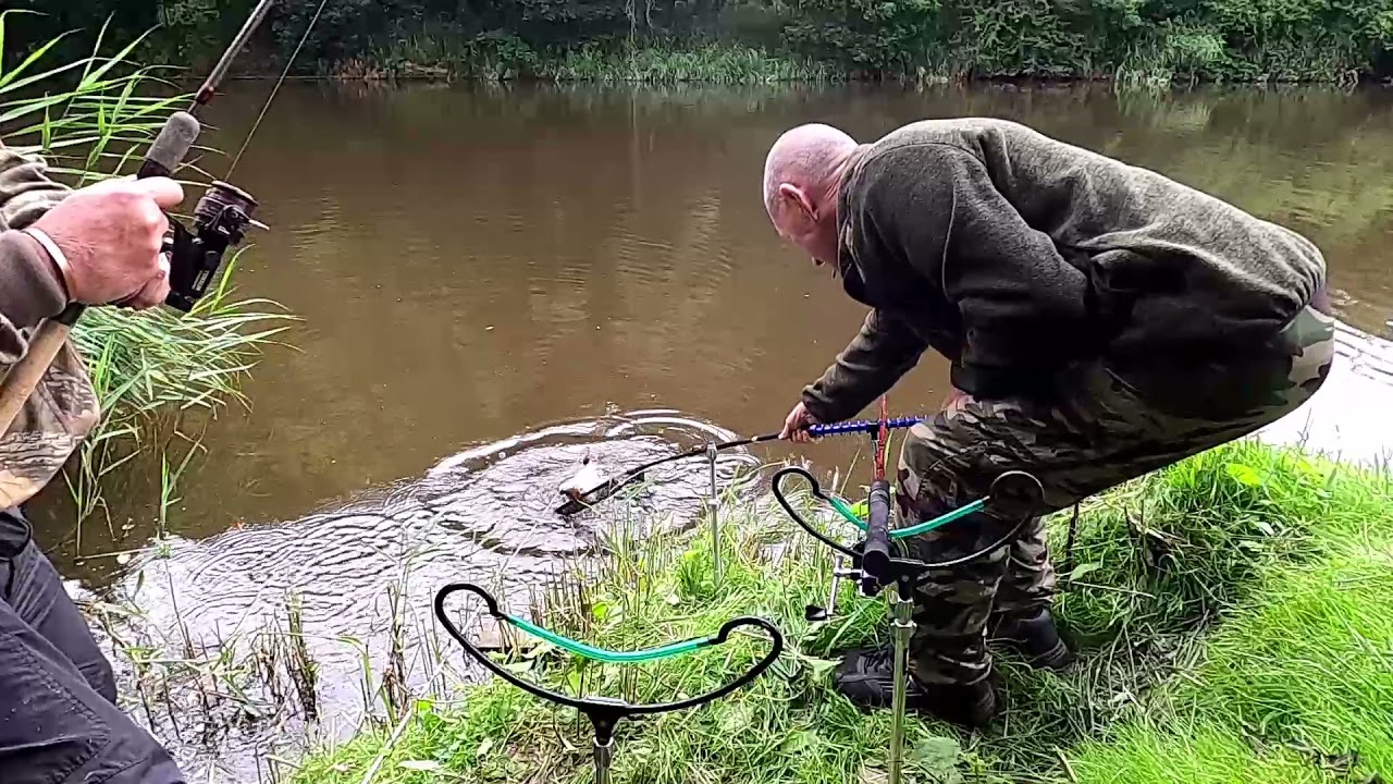 Nice Bream - YouTube