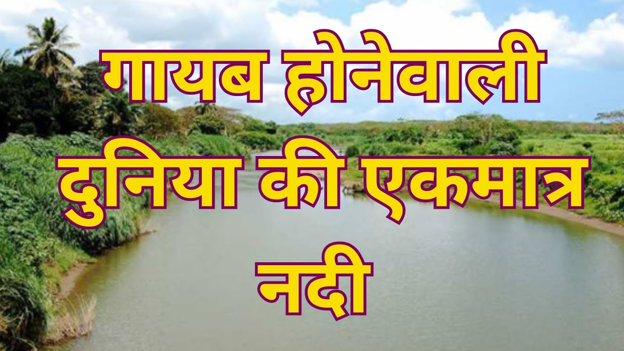Rajasthan river| Luni Nadi |क्यों गायब होतो है इस नदी का पानी क्या है ...