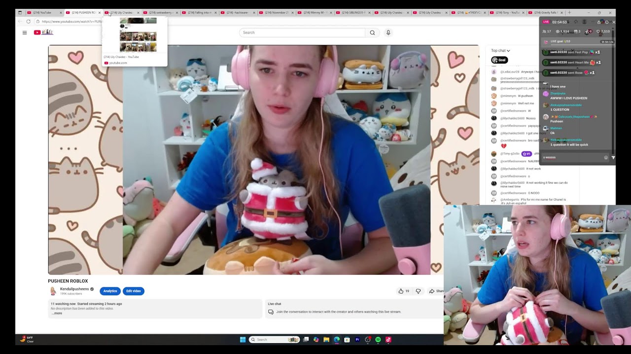 PUSHEEN ROBLOX - YouTube