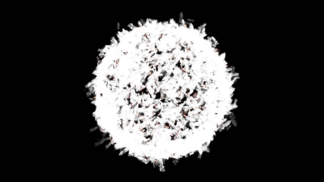 Feather explosion FREE FOOTAGE HD - YouTube