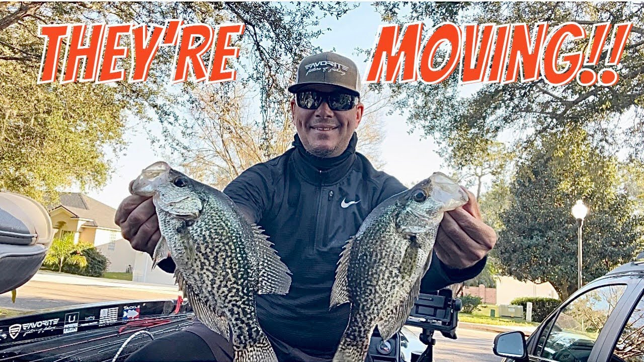 Catching BIG Crappie In Offshore Central Florida Grass W/O LIVESCOPE ...