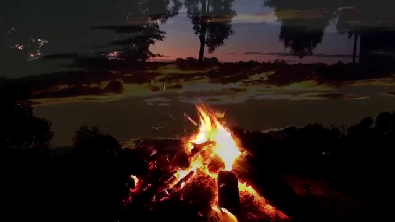 Outback Kangaroos and Campfire - YouTube