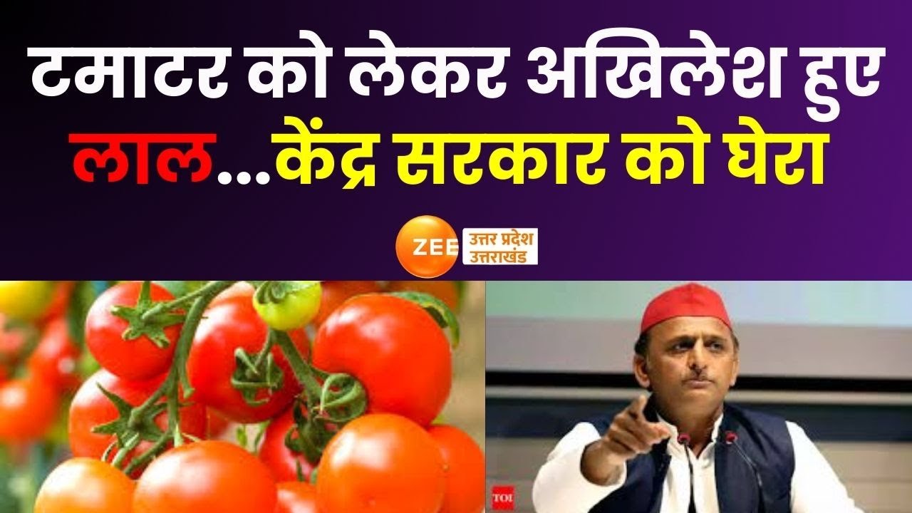 Tomato Politics : टमाटर को लेकर अखिलेश हुए लाल, केंद्र सरकार को घेरा ...