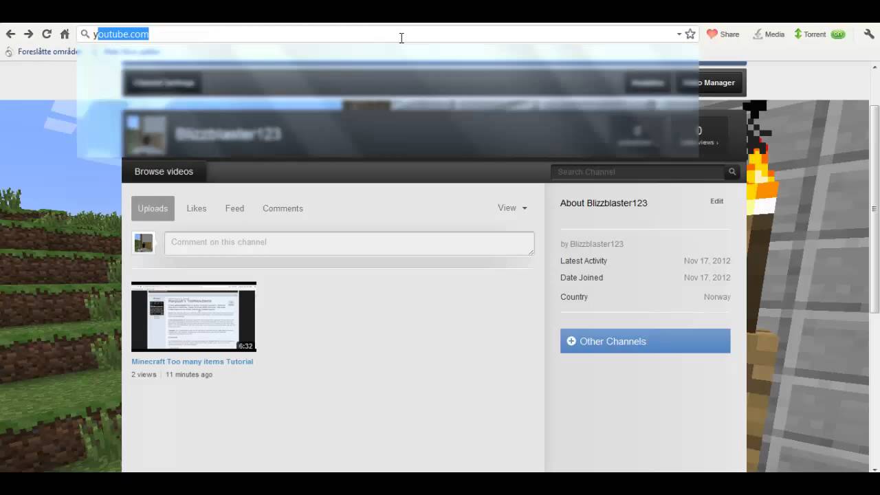 Minecraft hamachi Server Tutorial - YouTube