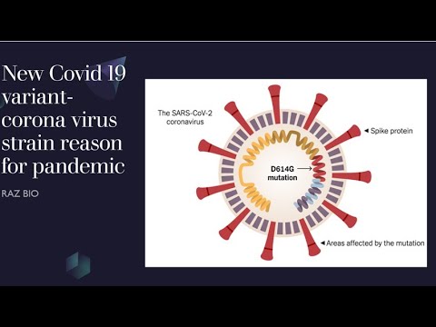 New D614G coronavirus variant reason for global pandemic #coranavirus # ...