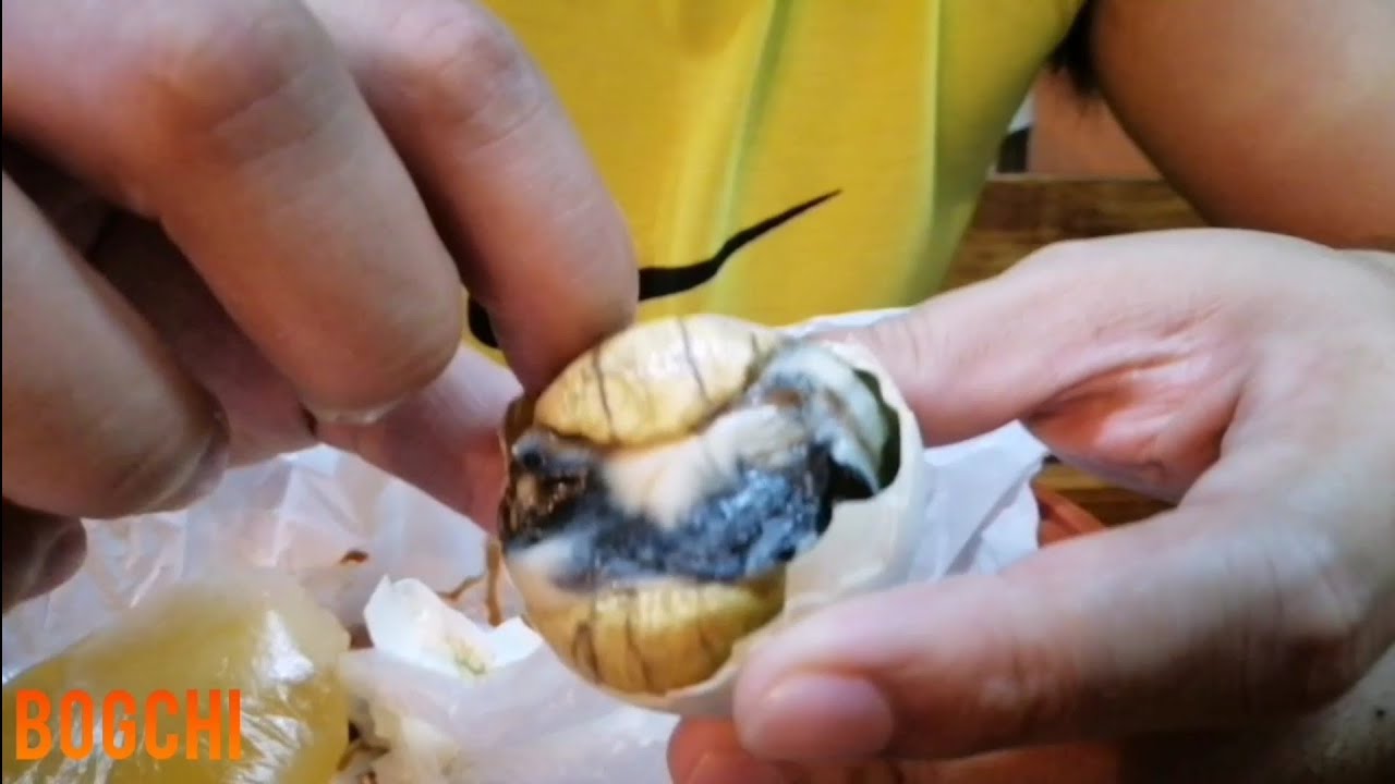 Philippines Street Food - Balut - YouTube