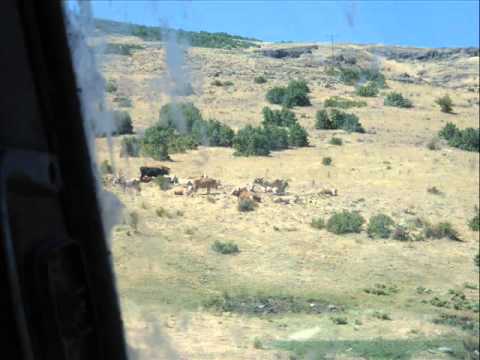 KÜRTÇE VE DALHANÇER KÖYÜ YENİ CENNET ŞEHİRSİN MALATYA (METİN DALHANÇER)