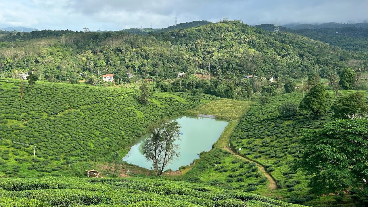 Wayanad mananthavady - YouTube