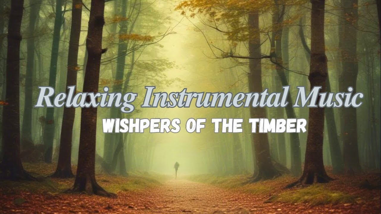 Instrumental Music Piano - Whispers of the Timber #50 - YouTube