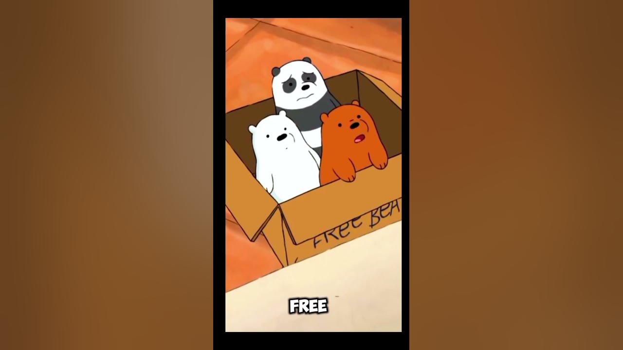 The beginning of the bears' adventures! - YouTube