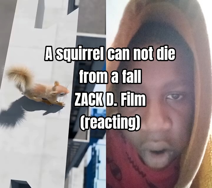#zackdfilm - YouTube