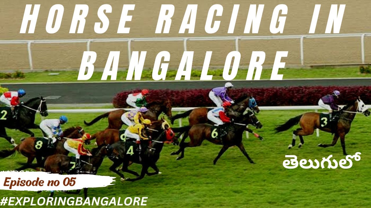 Went to “HORSE RACE” in Bangalore | Bangalore Turf Club | Hemanth ...