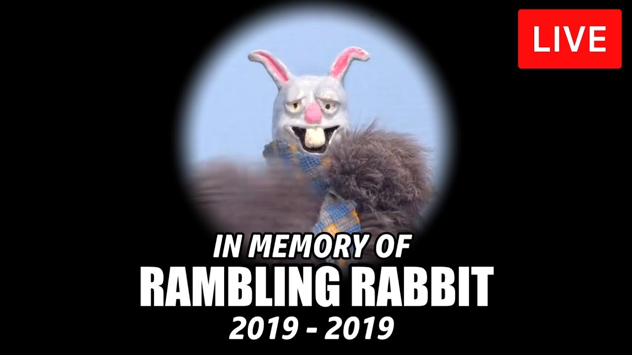 🔴 In Memory Of Rambling Rabbit LIVE - YouTube