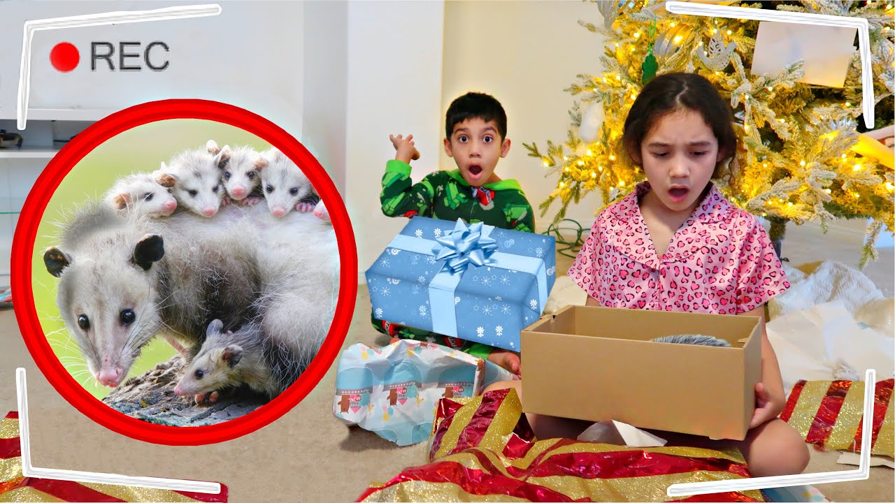 THE OPOSSUM KEEPS SHOWING UP!! *UNBELIEVABLE* | Jancy Family - YouTube