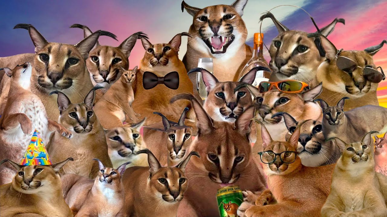 CONSTRUI UMA FÁBRICA DE FLOPPA E DESCOBRI VÁRIOS FLOPPAS - YouTube