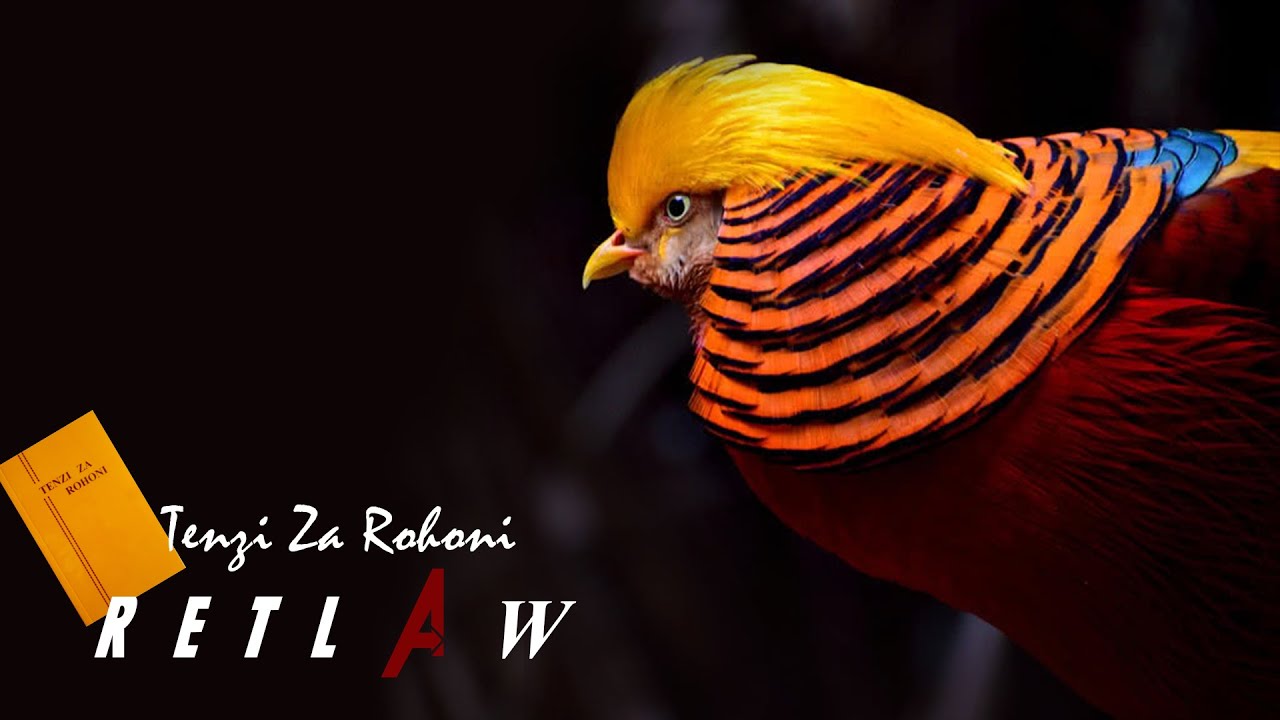 Tenzi Za Rohoni Songs Mix - YouTube