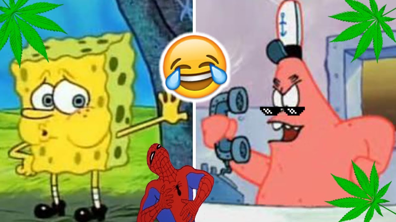 BEST SPONGEBOB ROASTS OF ALL TIME! - YouTube