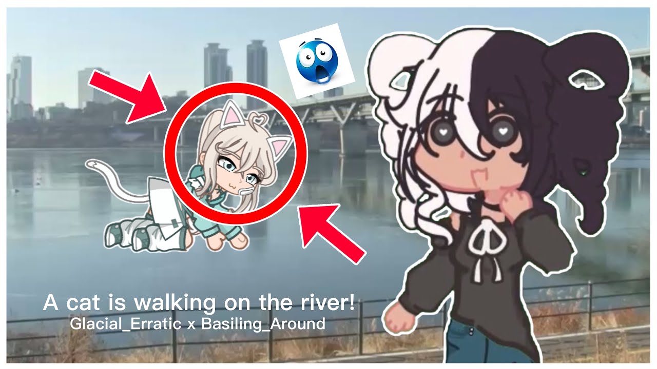 A cat is walking over the frozen Han River!? | Collab - YouTube