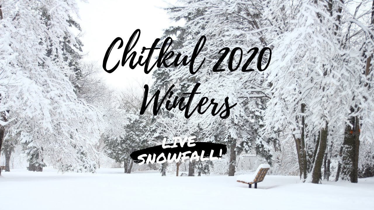 Chitkul In Winters (December 2020) | Live Snowfall | Kalpa - YouTube